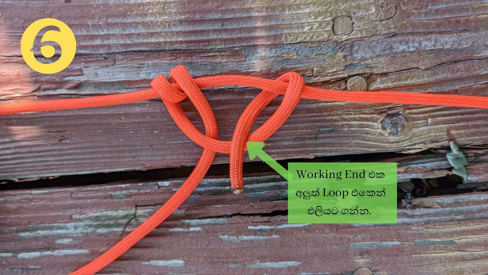 Taut-Line Hitch - Single Elephant