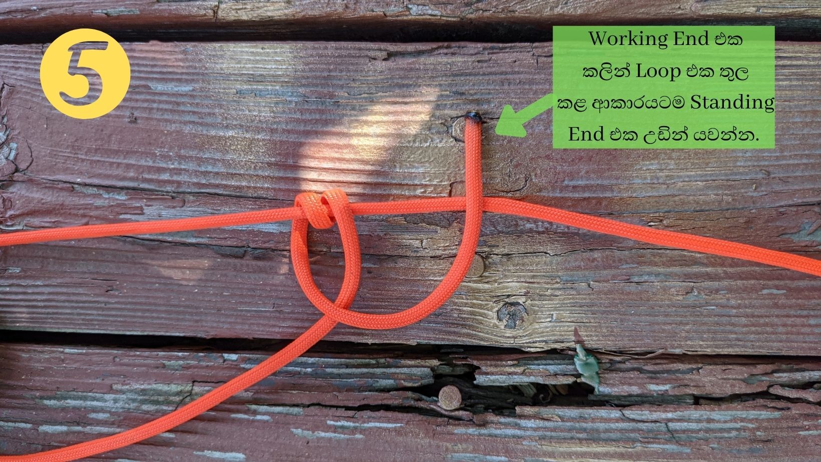 Taut-Line Hitch - Single Elephant