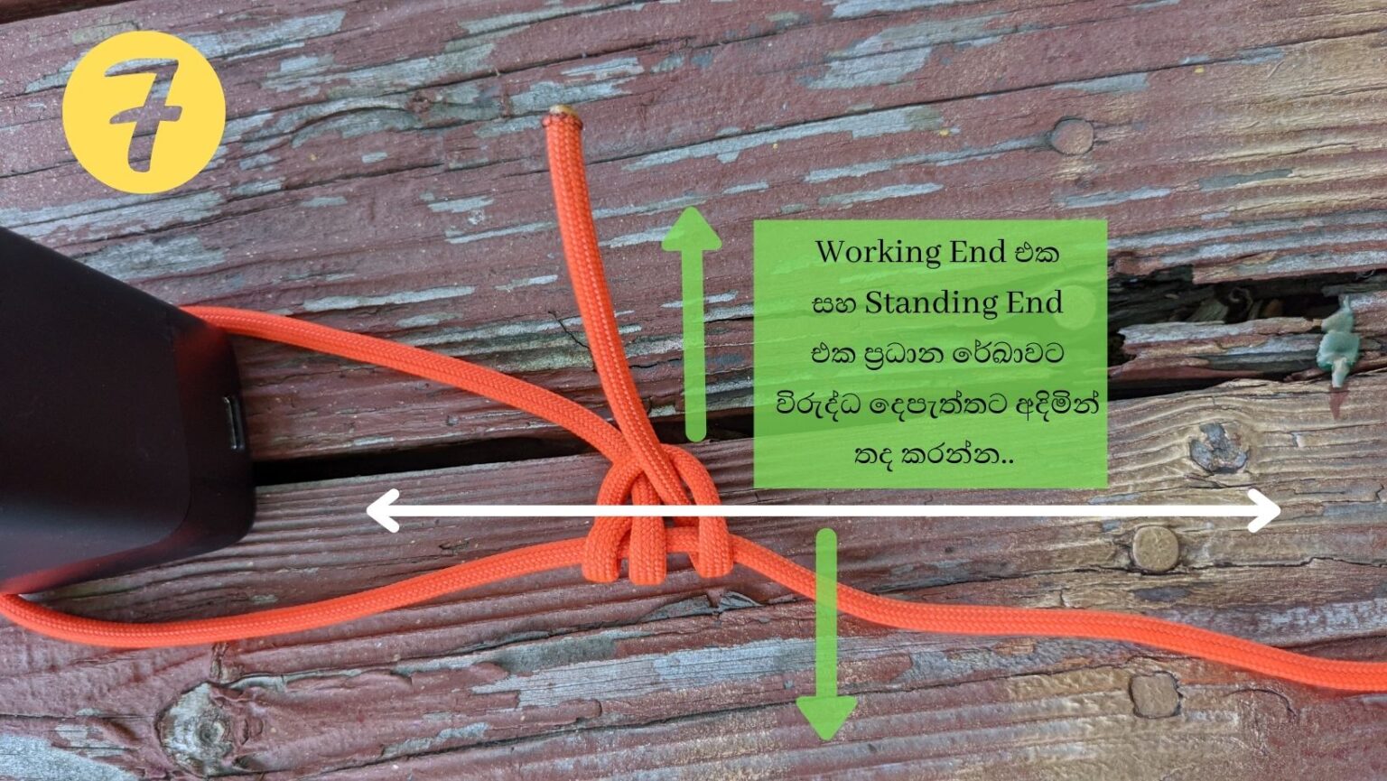 Taut-Line Hitch - Single Elephant